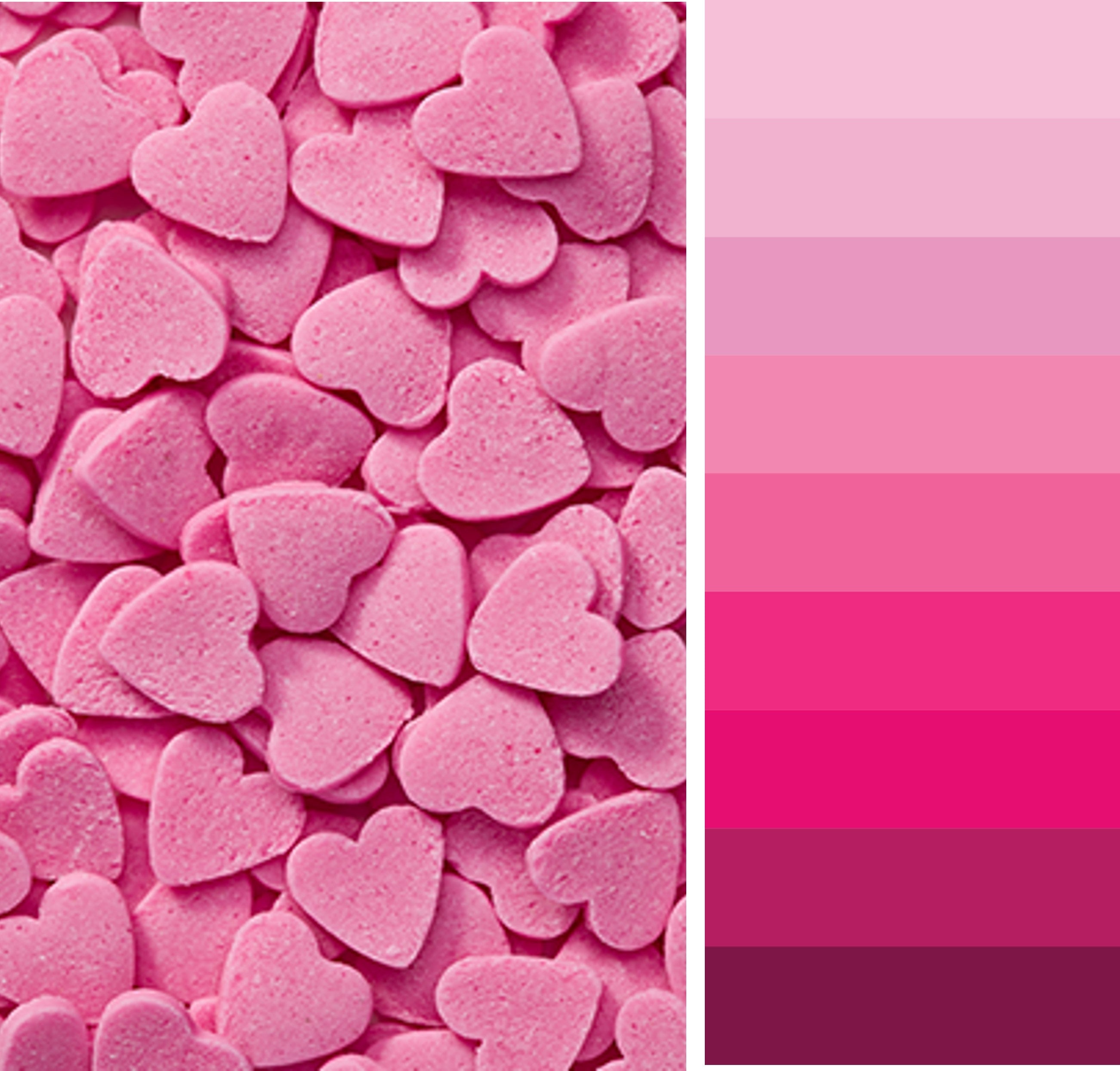 PINK COLOUR TIGHT RANGE – Starts With Legs