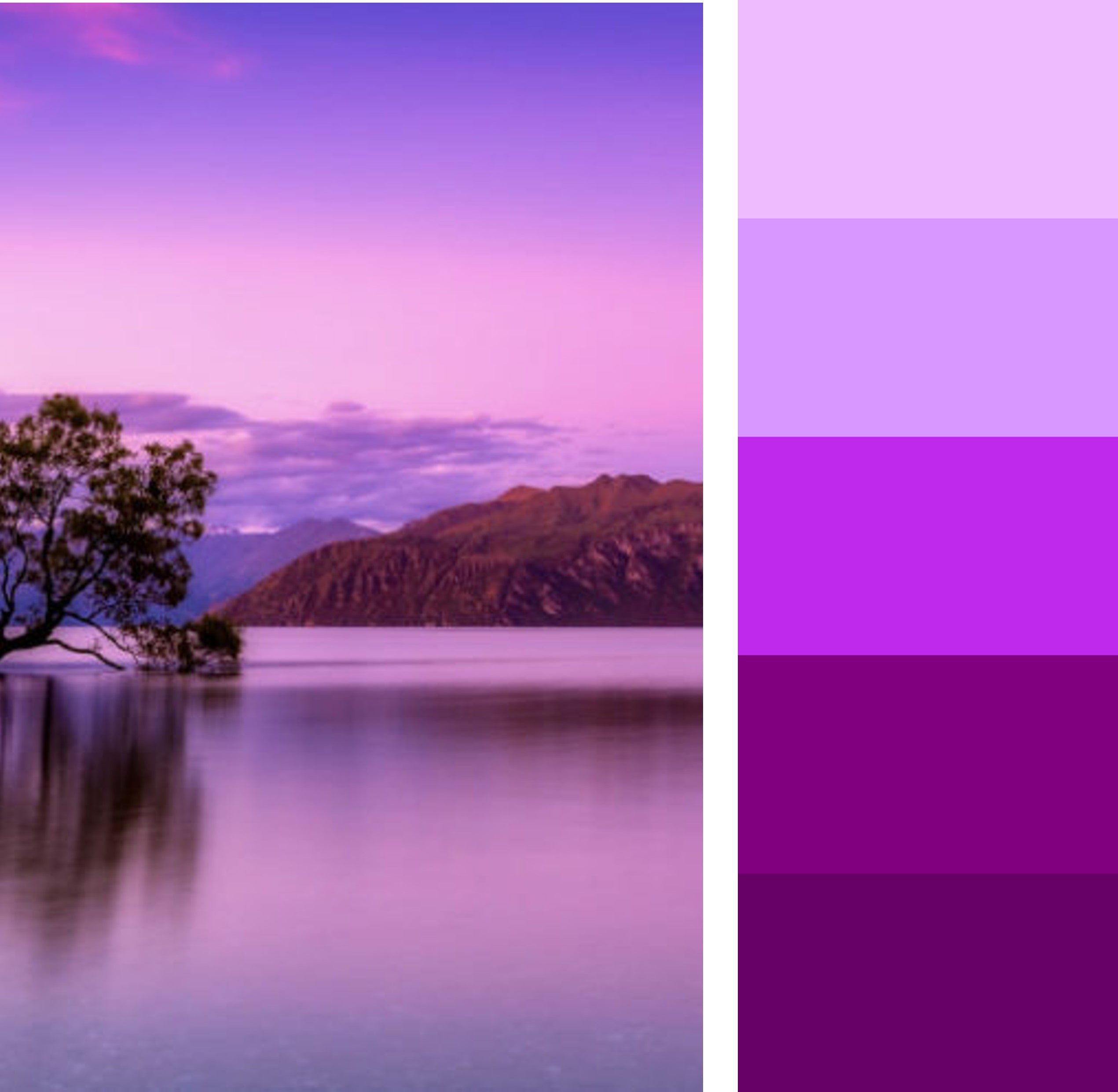 PURPLE COLOUR TIGHT RANGE – Tagged "OROBLU"– Starts With Legs